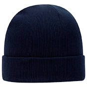 Paramore Otto Beanie