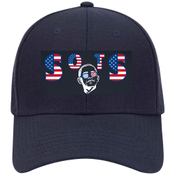 Low Pro Style Otto Cap