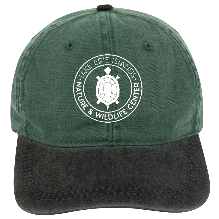 Camp hats Youth Low Profile Pro Style Hat Otto Cap