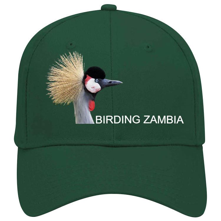 BIRDING ZAMBIA Otto Cotton Twill Hat