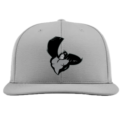 Adult Flex Fit Hat